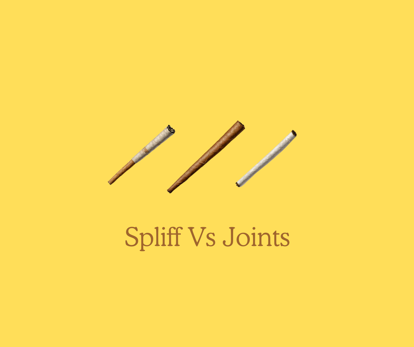 Spliff vs Joint: Entendiendo las Diferencias Clave – Splift