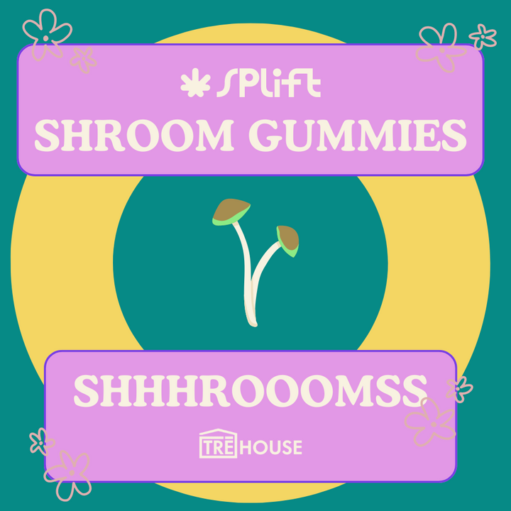 Guía Completa para Disfrutar de las Magic Mushroom Gummies de TREHouse ...