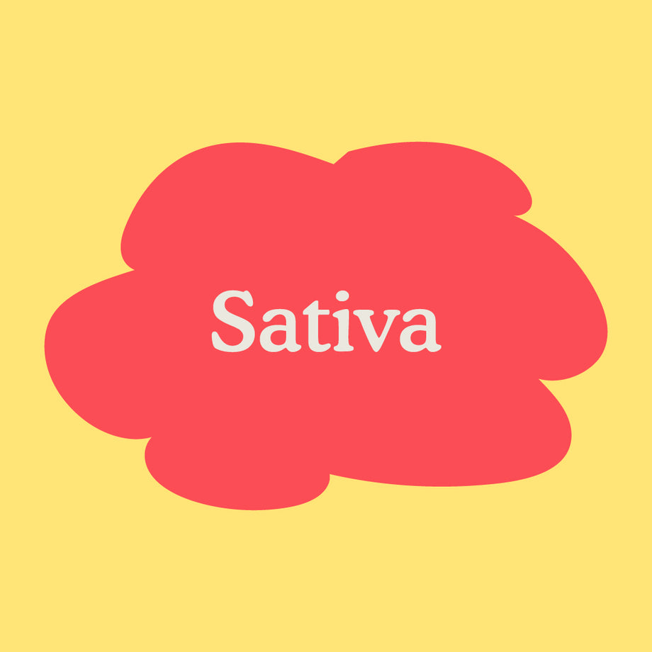 Splift México: Tienda de Cannabis a Domicilio Express